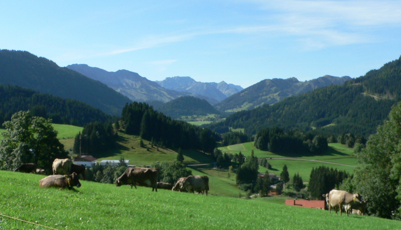 Wertach und Umgebung – Landhaus Sonnwinkl
